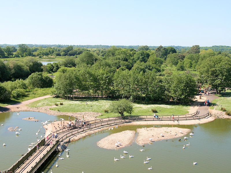 SLOANE TOWER - WWT SLIMBRIDGE WETLAND CENTRE